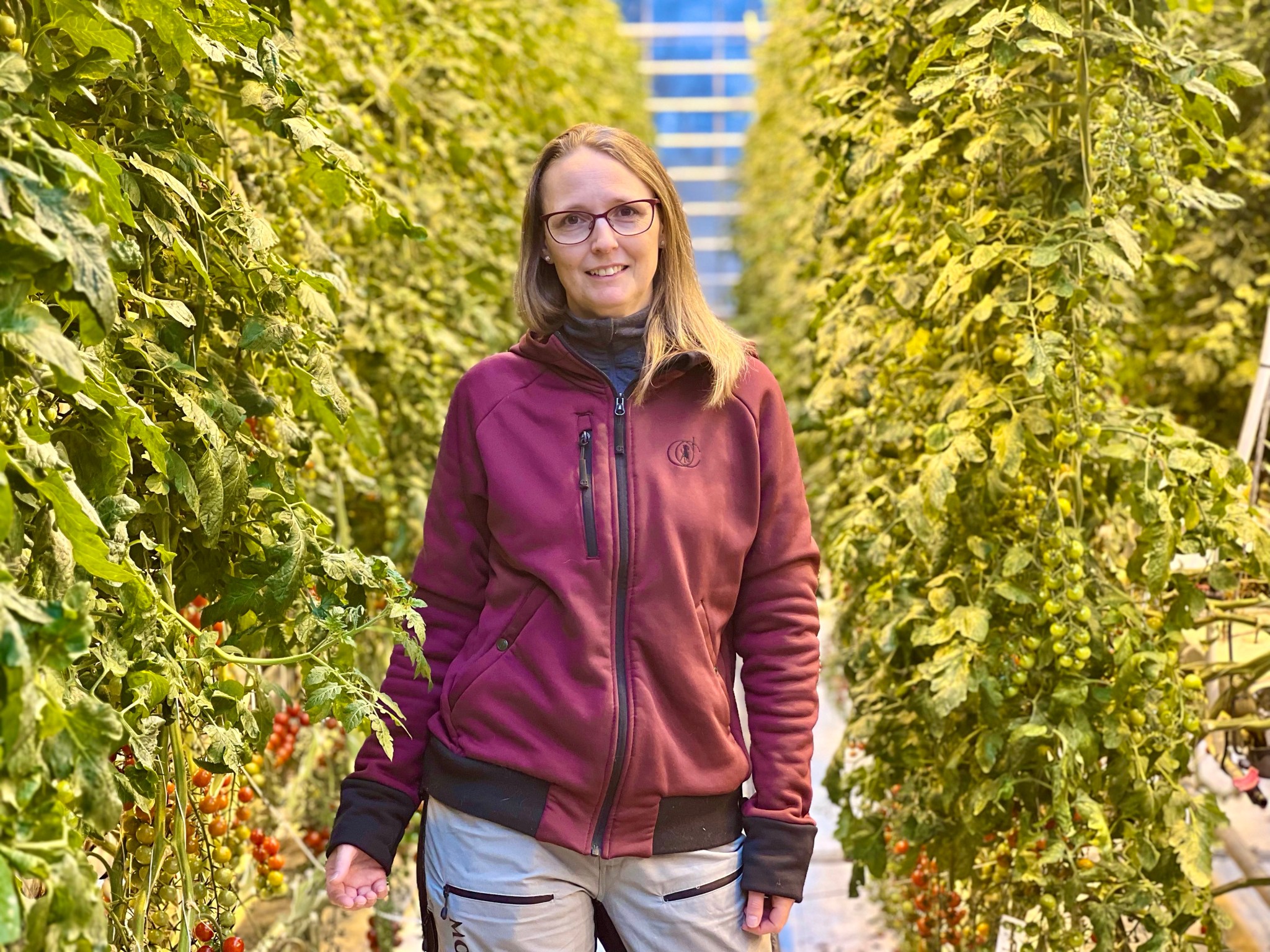 Reykjavik, Island – Betinas adventures